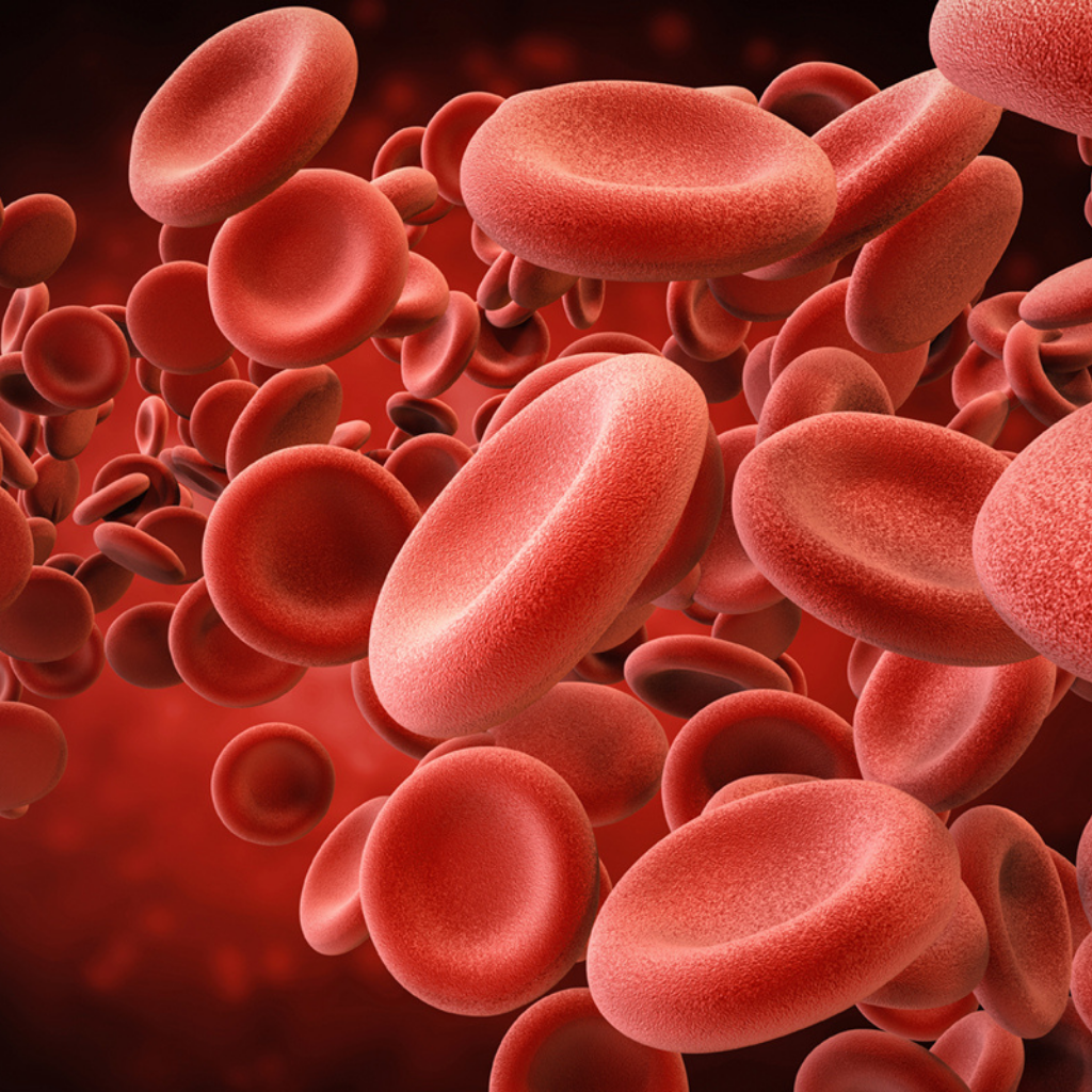 Sistema Rh y el fenotipo Del: detección mediante BioVue de Ortho ...