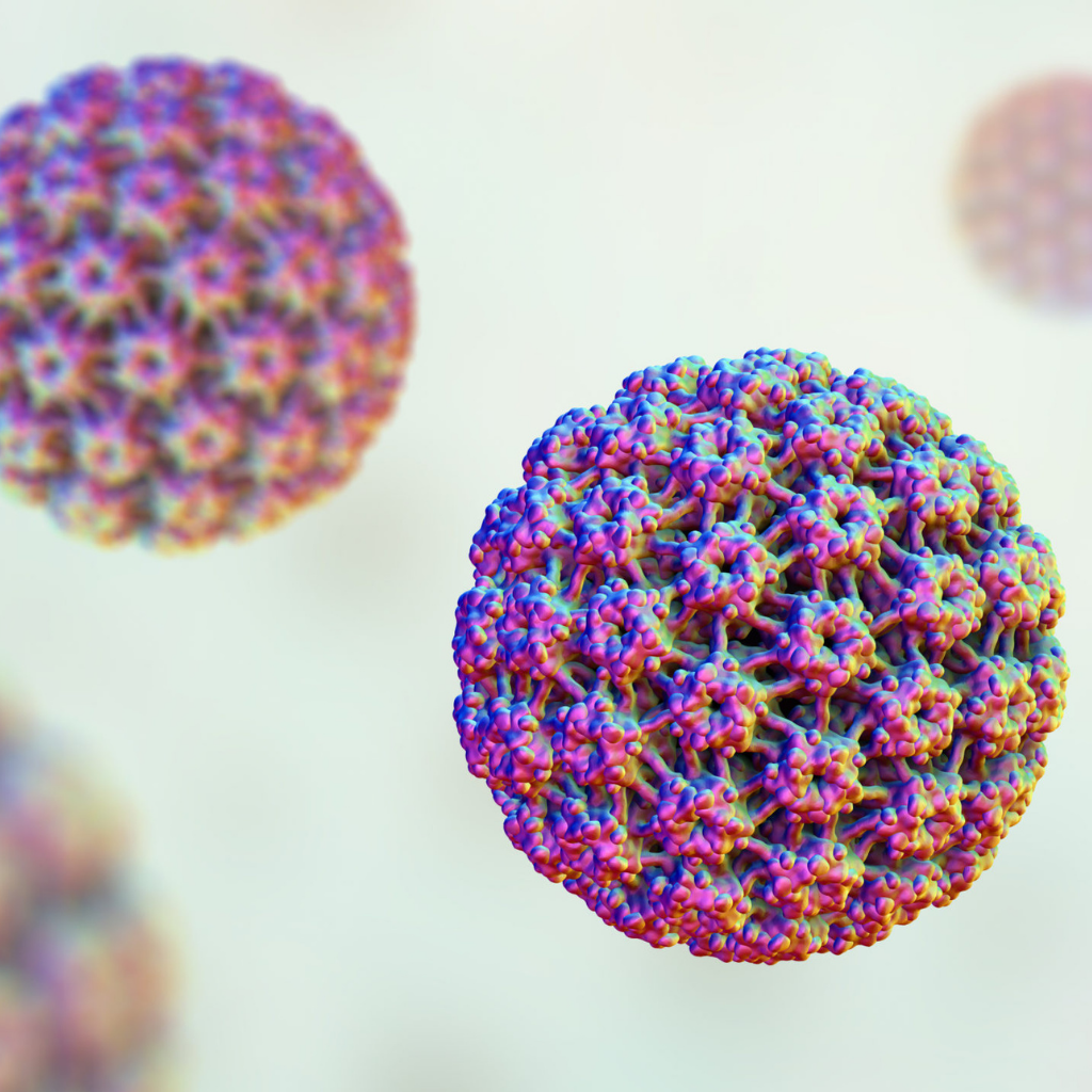 Importancia del adecuado genotipeo del Virus del Papiloma Humano ...